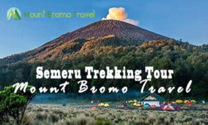 Mount Semeru Trekking Tour Package 2025 • Semeru Volcano Tour